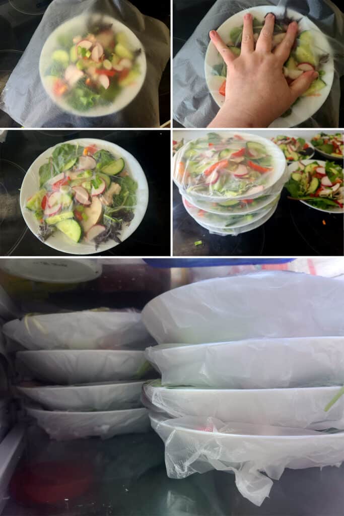 Salad Meal Prep [Base Salad] - Low Carb Hoser